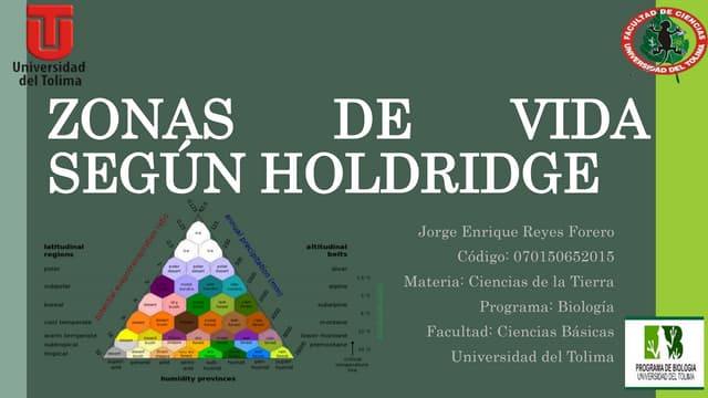 Triangulo de holdridge