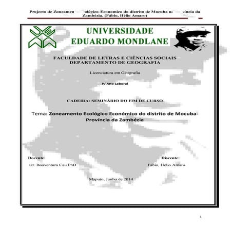 Zoneamento ecologico economico do distrito de mocuba zambezia | PDF