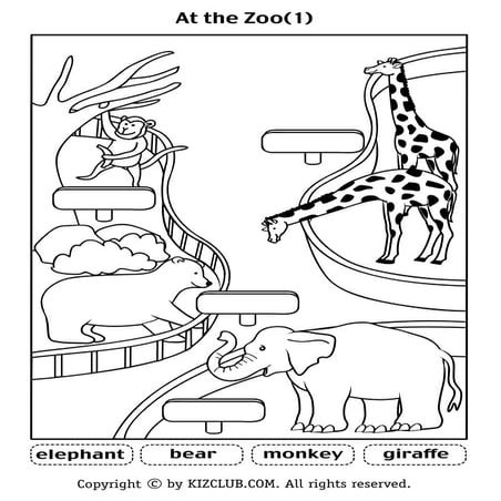 Zoo Animals | PDF | Zoos & Aquariums | Attractions