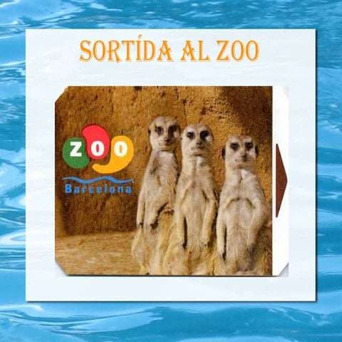 Excursió al zoo de Barcelona | ODP