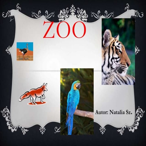 Zoo | PPT