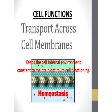Zoo 1101 Cell Function, Animal Tissues Lecture.pdf