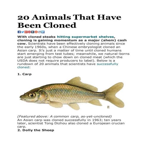 Zoo 20 animals that have been cloned | DOCX