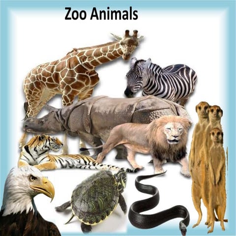 Zoo animals | PPTX
