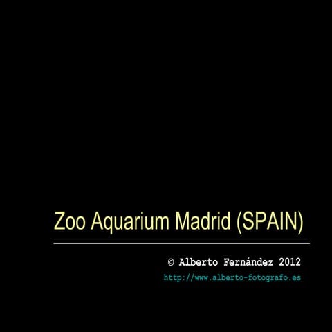 Zoo Aquarium Madrid | PPT