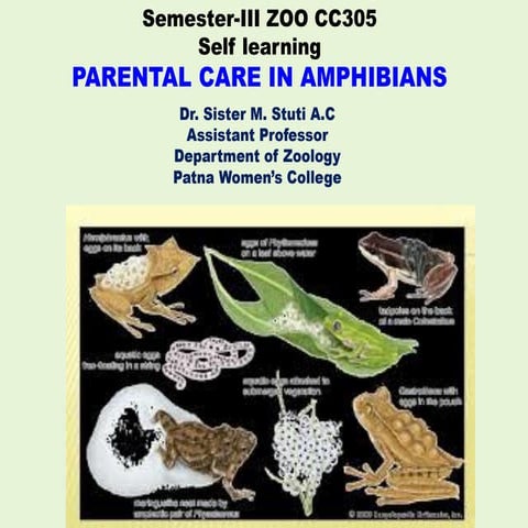 Zoo CC305 Parental Care in Amphibians.pdf