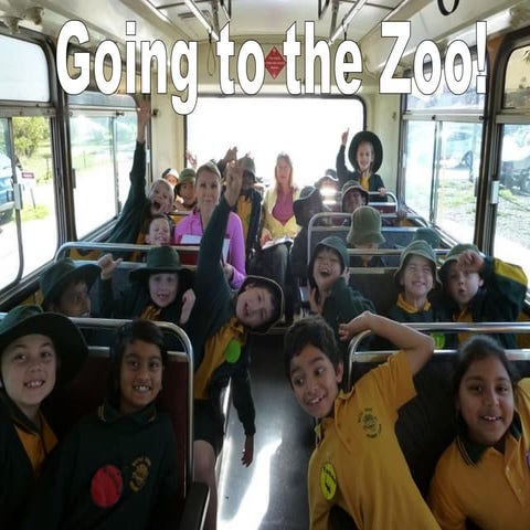 Zoo excursion | PPT