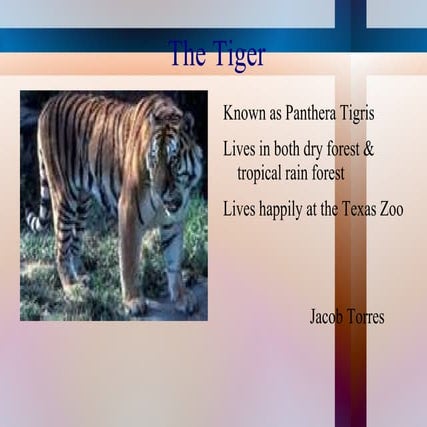 Zoo habitats | ODP | Zoos & Aquariums | Attractions