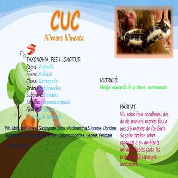 Cuc | PPTX
