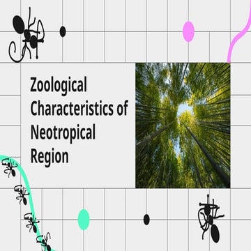 Zoological Characteristics of Neotropical Region.pptx