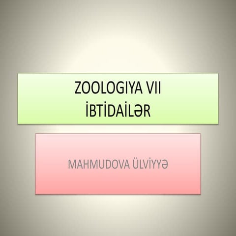 Zoologiya 7 dərs 1( ibtidailər) | PPTX