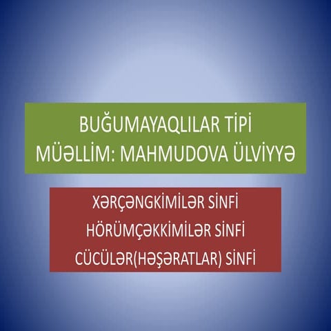 Zoologiya 8 dərs 2(cücülər) | PPTX