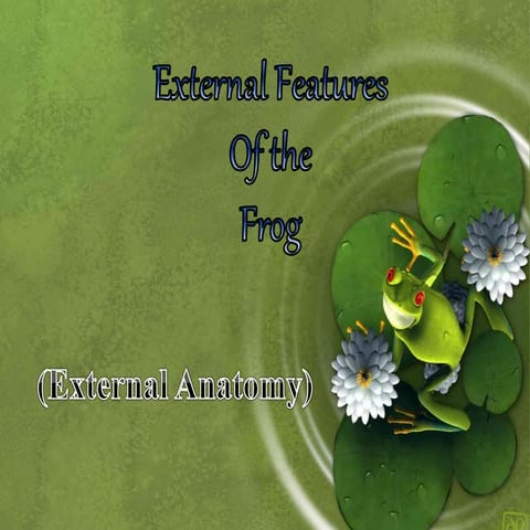 Frogdiss | PDF
