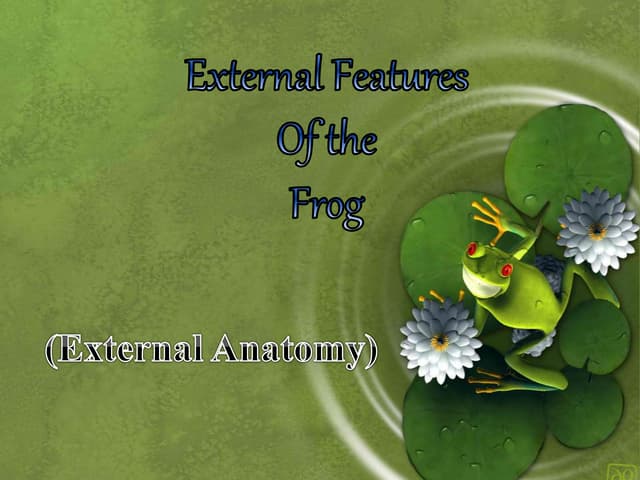 Frog Class 11th NCERT CBSE NEET biology notes | PDF