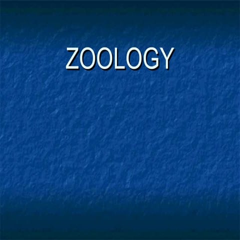 Zoology introduction (1) | PPT | Biological Sciences | Science