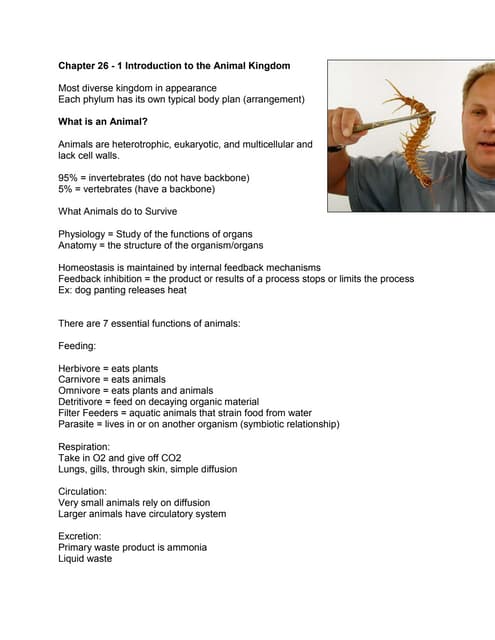 Intro to invertebrates tz sp15 | PPT