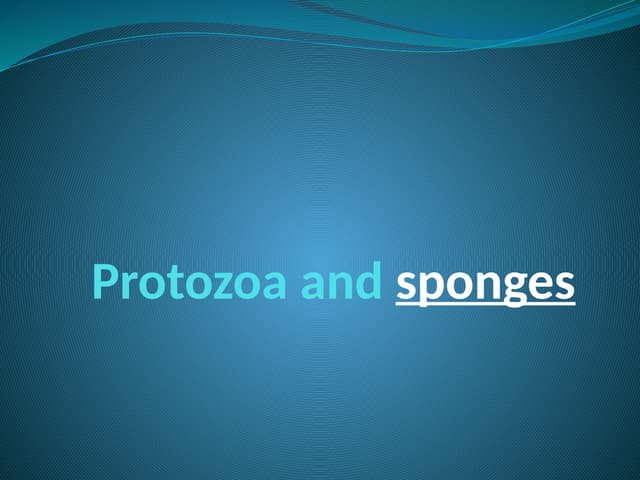 Protozoa Structure | PPT