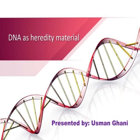 DNA as genetic material | PPTX | Genetics | Science