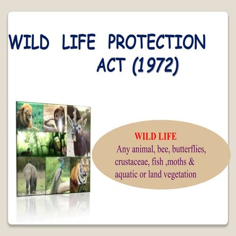 wild life protection act | PPT