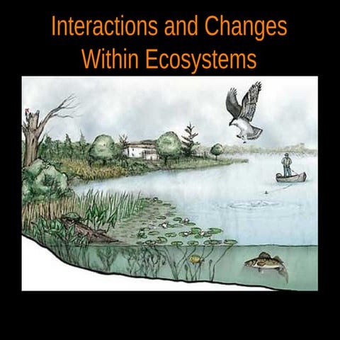 Interactions within ecosystems | PPT