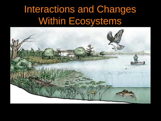 Relationships in Ecosystems | PPT