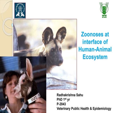 Zoonoses at interface of human animal ecosystem | PPTX