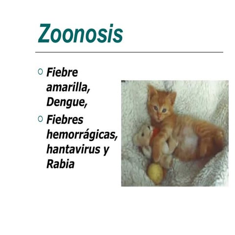 Zoonosis | PPT