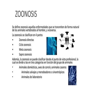 ZOONOSIS.pptx