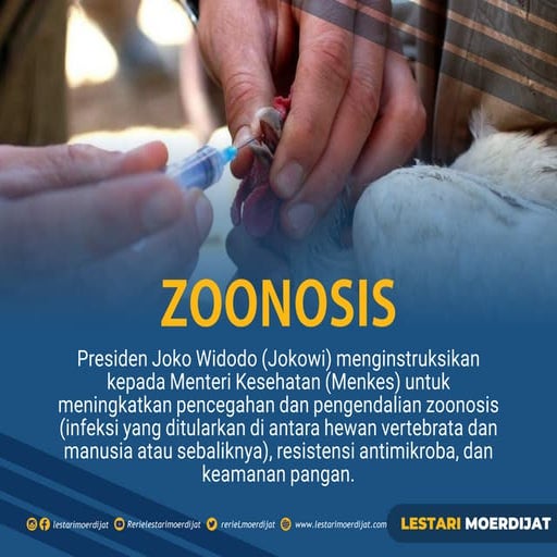Mengenal apa itu Zoonosis | PDF