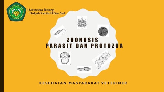TOXOPLASMA GONDII NEW.pptx
