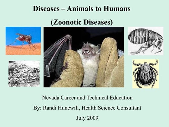 Common animal diseases | PPT