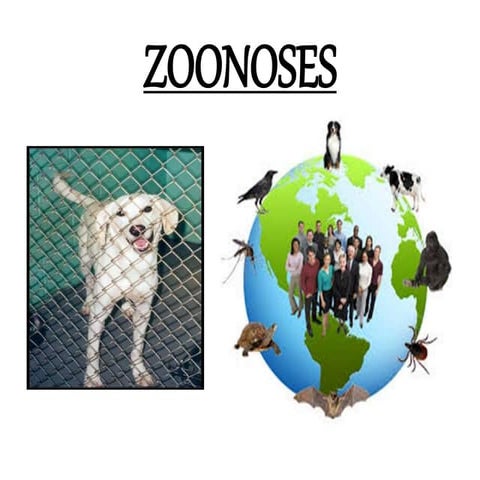 zoonotic infection.pptx for students education | PPTX