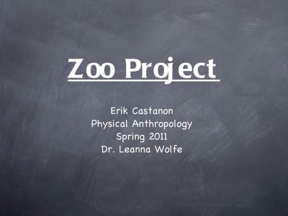 At The Zoo - Animals | PPT
