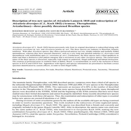 Zootaxa Aranha | PDF