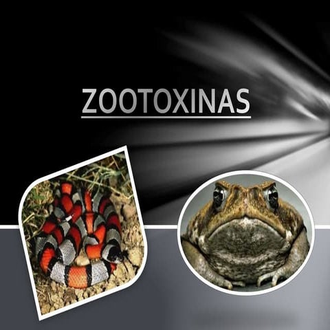 Zootoxinas | PDF