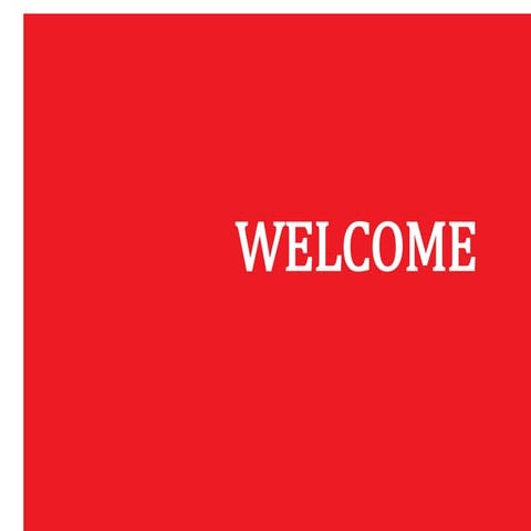 Zoozoo As A Brand Ambassador of Vodafone | PPTX
