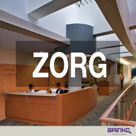 Zorg BrinkQ | PDF