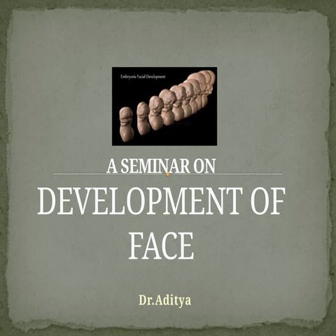 Face.pptx hhhhhhhhhhhhhhhhhhhbbbbhhhhhhhj | PPTX