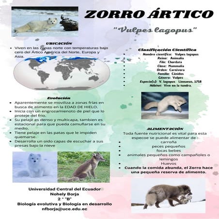 TAXONOMÍA DEL ZORRO ÁRTICO | PDF