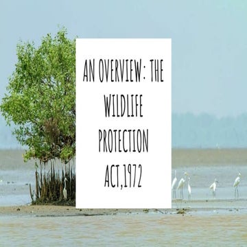 Overview Wildlife Protection Act 1972 Ppt 