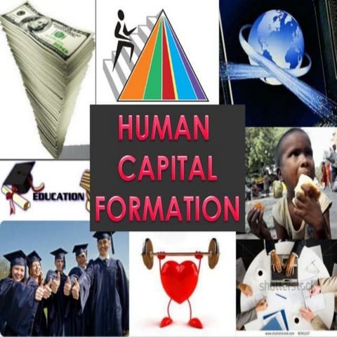 Human capital formation in India project for class 12 | PDF