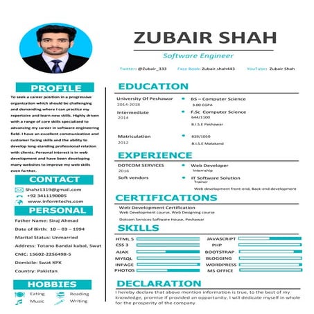 Zubair cv | PDF