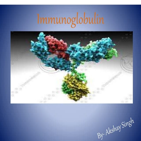 Immunoglobulin ppt | PPTX