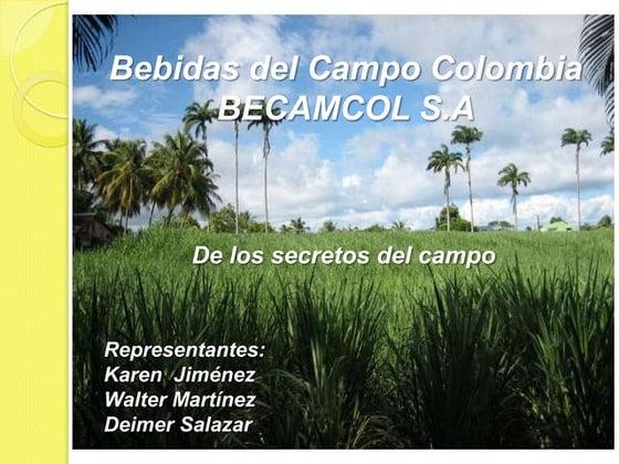 Proceso de-produccion-del-azucar | PPT