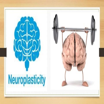 Neuroplasticity | PPTX