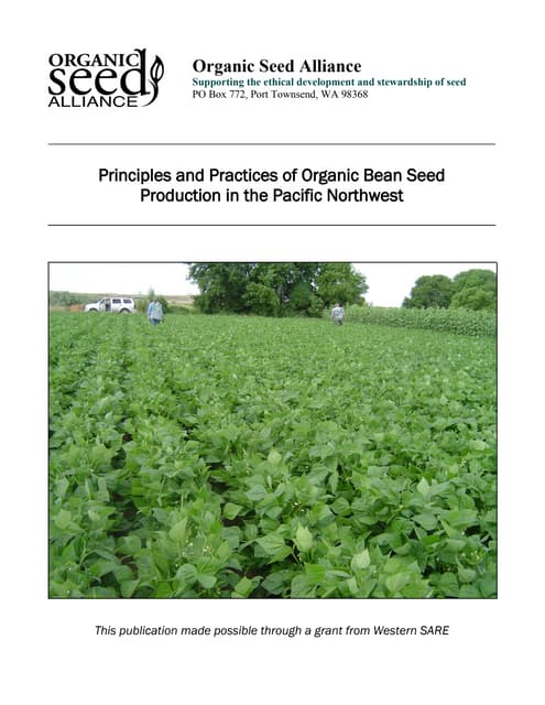 US-Sc-367-Bean-Life-Cycle-PowerPoint_ver_4.pptx