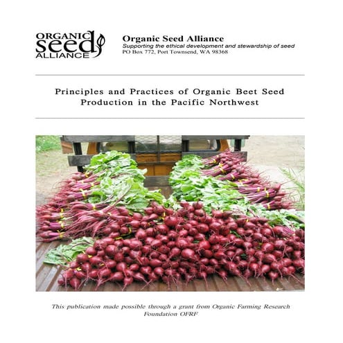 The Principles and Practices of Organic Beet Seed Production in the ...
