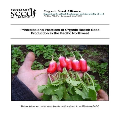The Principles and Practices of Organic Radish Seed Production in the ...