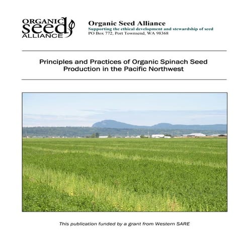 The Principles and Practices of Organic Spinach Seed Production in the ...