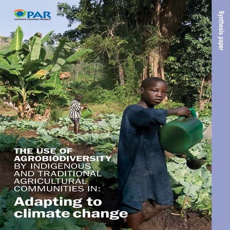 The Use of Agrobiodiversity by Indigenous and Traditional Agricultural ...